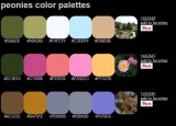 Color Palette Tips + Color Resources – Soap Queen