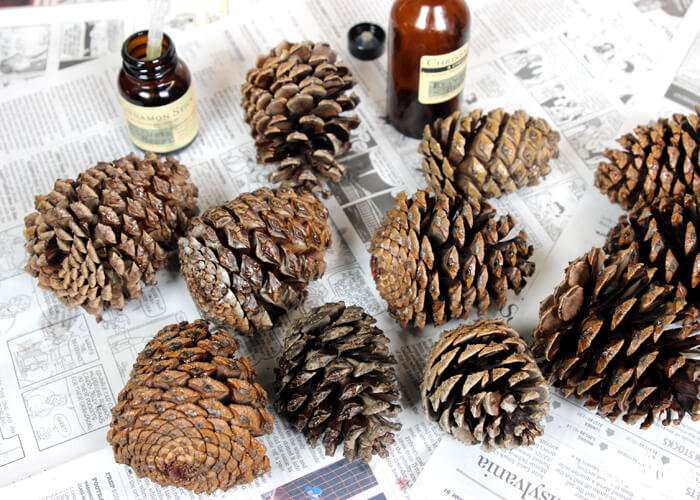 Make Your Own Scented Pine Cones – Soap Queen
