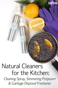 Natural Cleaners for the Kitchen + Free Label Template – Soap Queen