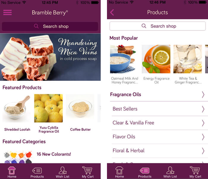 Bramble Berry App Update! – Soap Queen